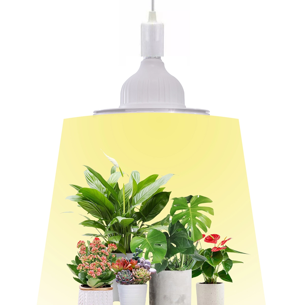 30W LED Grow Bulb – Full Spectrum Light for Faster Plant Growth